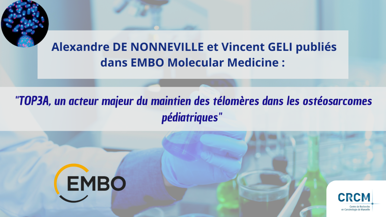 Alexandre DE NONNEVILLE et Vincent GELI publiés dans la revue EMBO ...